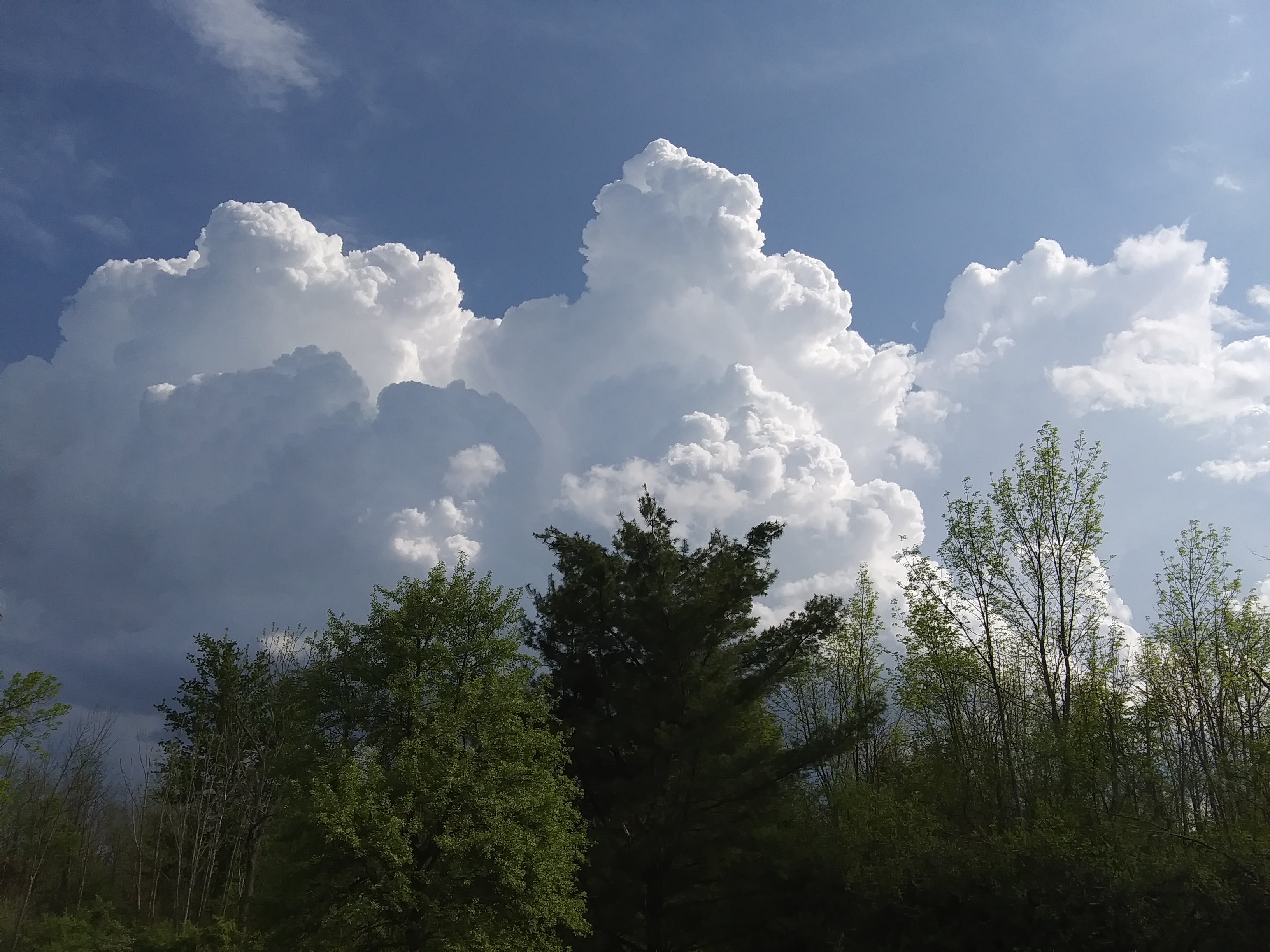 beautiful-sky – Ever Green Farm CSA