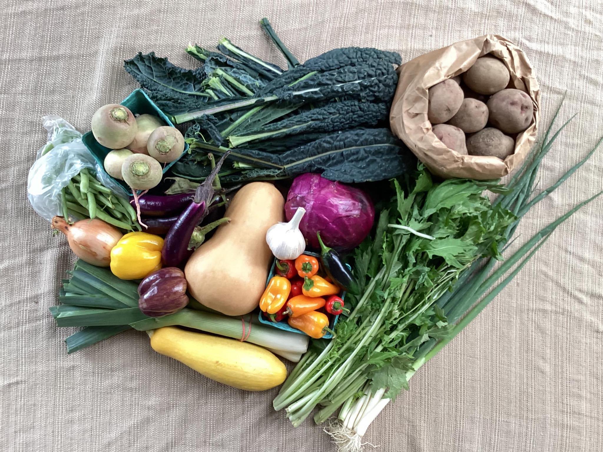 CSA Membership Details – Ever Green Farm CSA